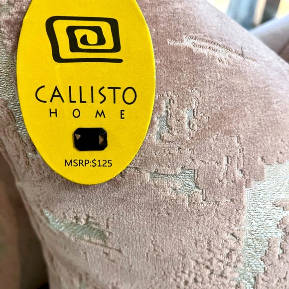 Callisto Home | Accents | Nwt Callisto Home Decorative Pillowplease ...